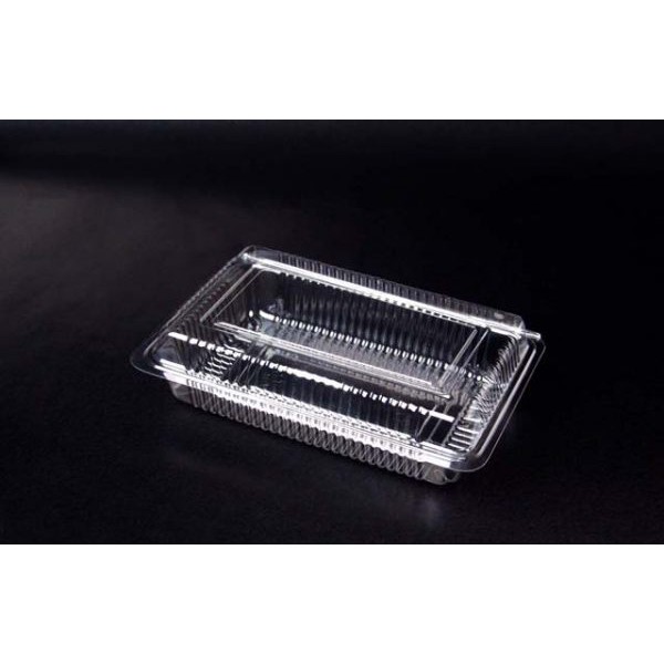 C301 Clamshell Plastic Food Container 25pcs | Shopee Philippines