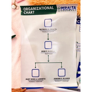 Organizational Chart for Drugstore | Shopee Philippines