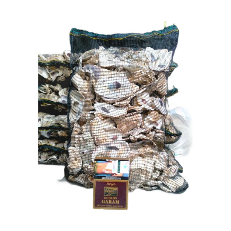 Oyster Shell 3 Kg Oyster Shell Waring Packaging | Shopee Philippines
