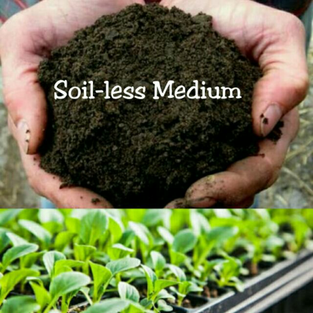 Soil-less Medium (Best potting mix for your greens) | Shopee Philippines