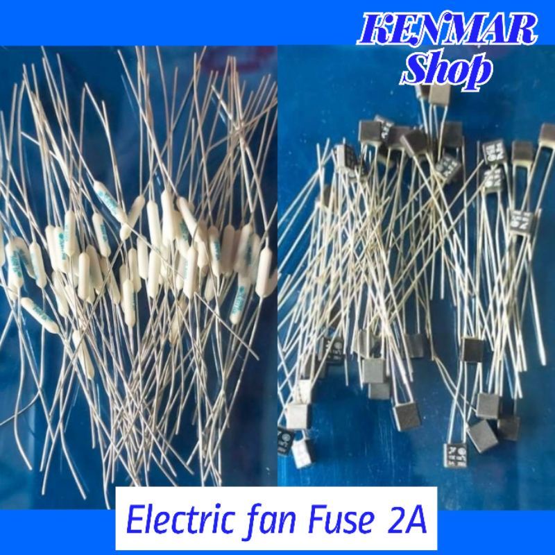 10 pcs. Fuse for Electric Fan 2A Square/Oval | Shopee Philippines