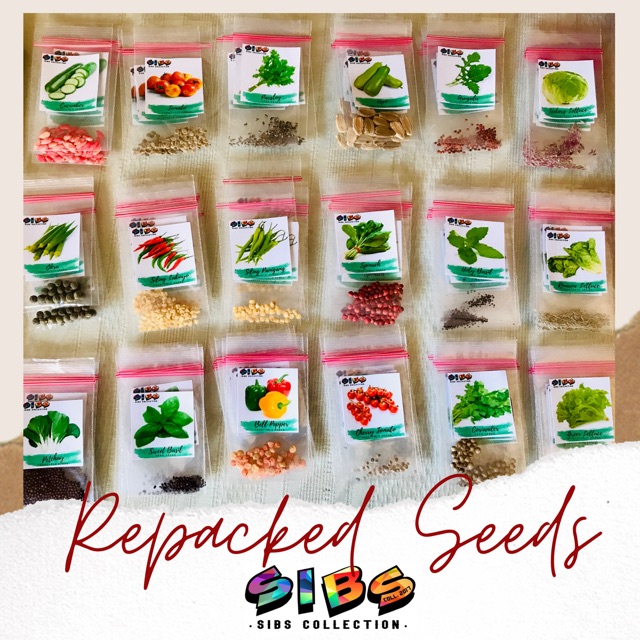 VEGETABLES Plant Seeds (Pechay, Sili, Okra, Talong, Tomato, Lettuce ...