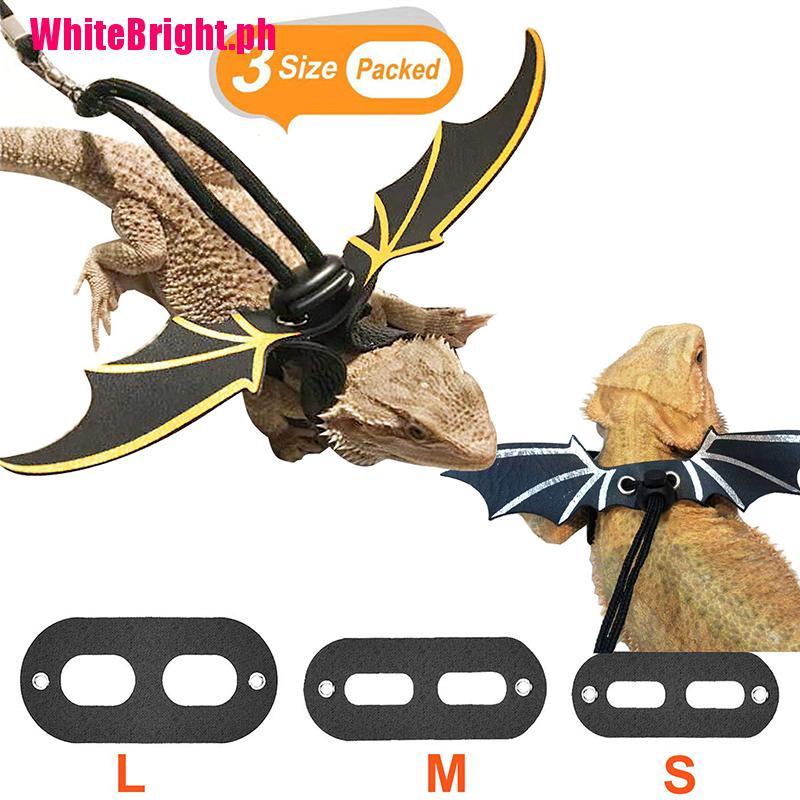 {HOTER & ready}4Pcs Reptile Lizard Gecko Bearded Dragon Harness And ...