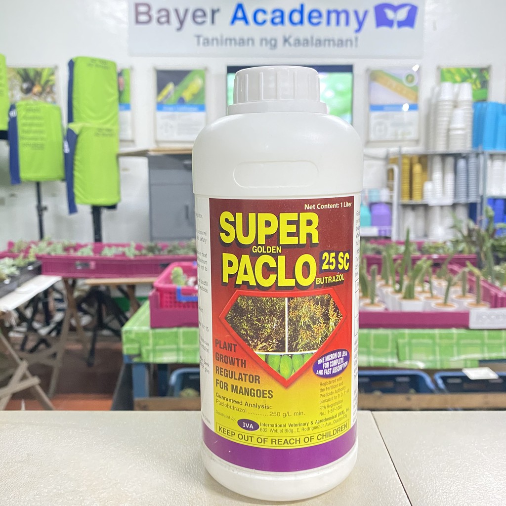 SUPER GOLDEN PACLO PACLOBUTRAZOL 25 SC (1L) | Shopee Philippines