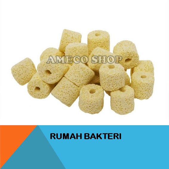 Bacteria Bacteria Bacteria Bacteria House Bioball Bio Ball Bioring Bio ...