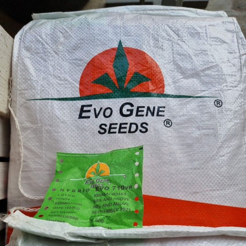 Evo 1401, 710 & Evo 9989 Corn Seed | Evogene | Shopee Philippines