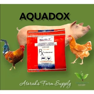 doxycycline - Best Prices and Online Promos - Jul 2024 | Shopee Philippines