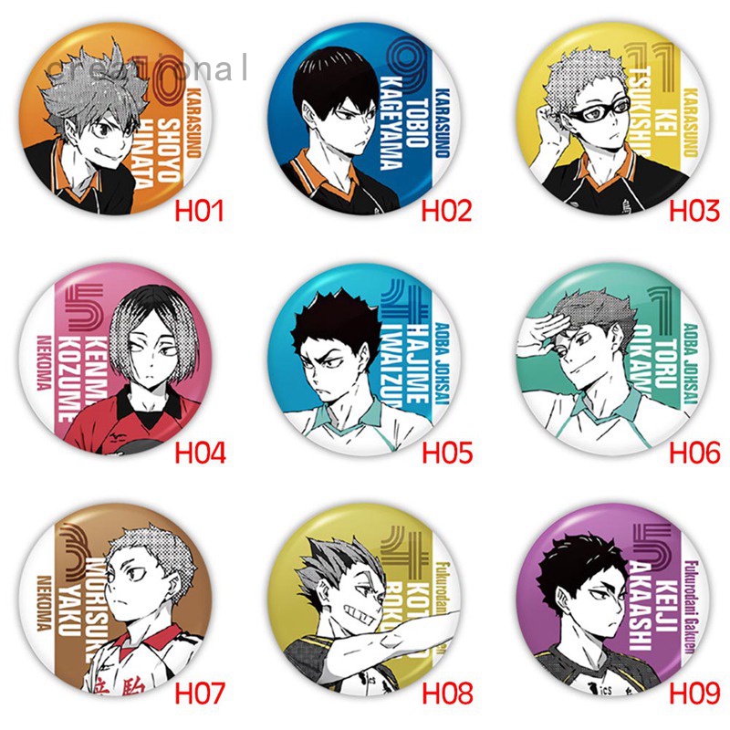 Ancier 1pcs Manga Haikyuu!! Cosplay Badges Hinata Shoyo Brooch Pins ...