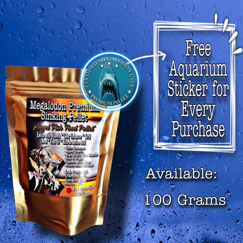 Megalodon Premium Sinking Pellet for Angel Fish (for juvy size to Adult ...