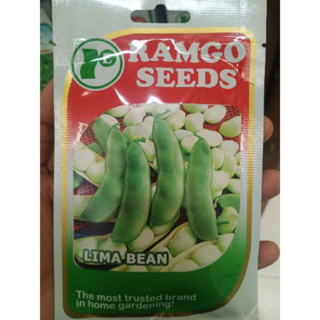 Lima Bean Seeds patani | Shopee Philippines