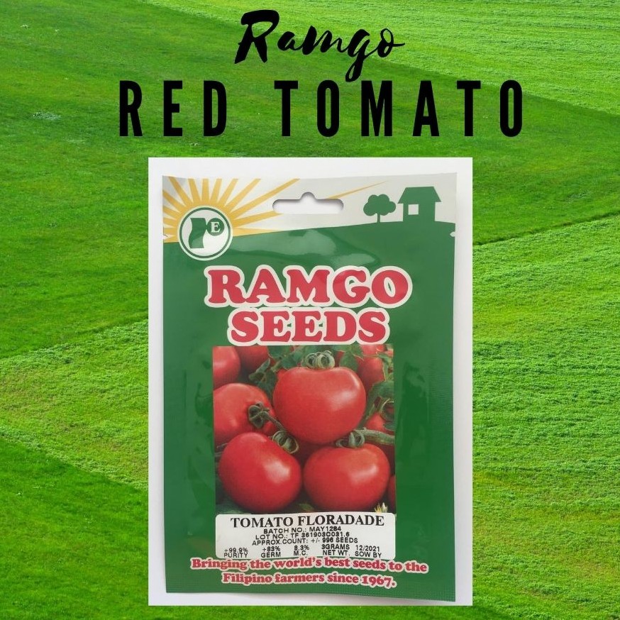 Ramgo TOMATO Varieties | Shopee Philippines