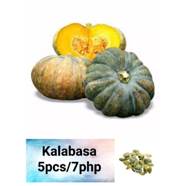 Kalabasa/Squash Seeds (5pcs) | Shopee Philippines