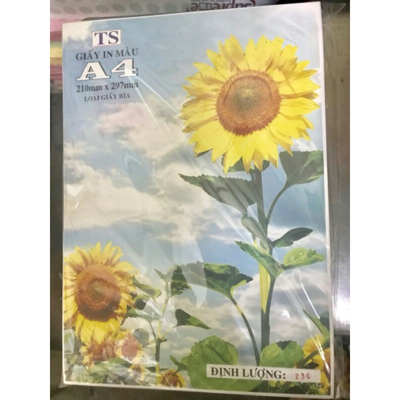 A4/A3 Fort paper 250gsm - A4/A3 Thai cover - [100 sheets] | Shopee ...
