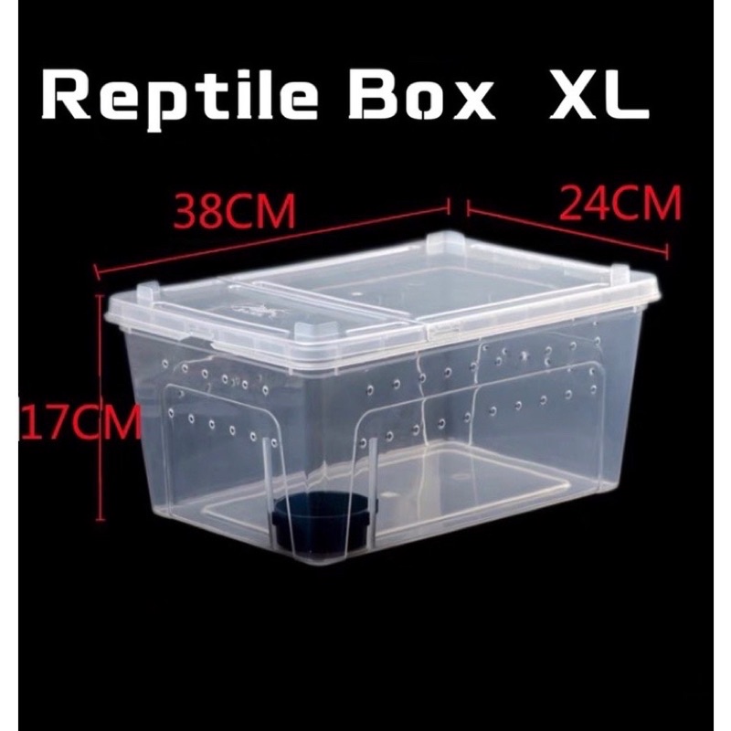 Reptile Box [XL] Small Animal Reptiles Breeding Live For Snakes Geckos ...