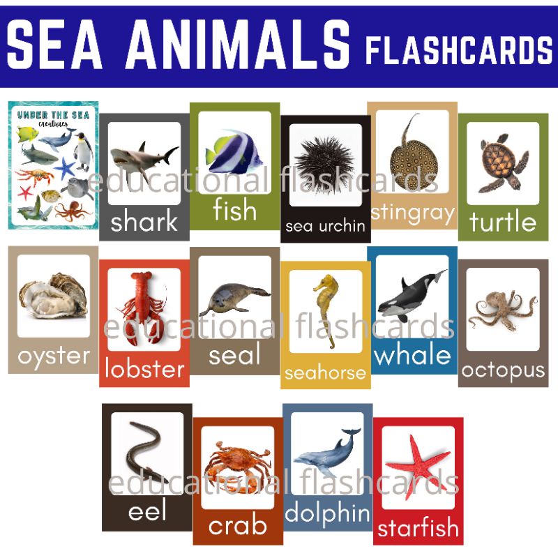 SEA ANIMALS FLASHCARDS for kids, Laminated. Animals Charts are also ...