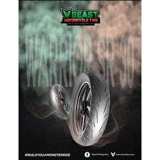 110/70-17 120/70-17 130/70-17 140/70-17 160/60-17 (TL) BEAST TIRE ...