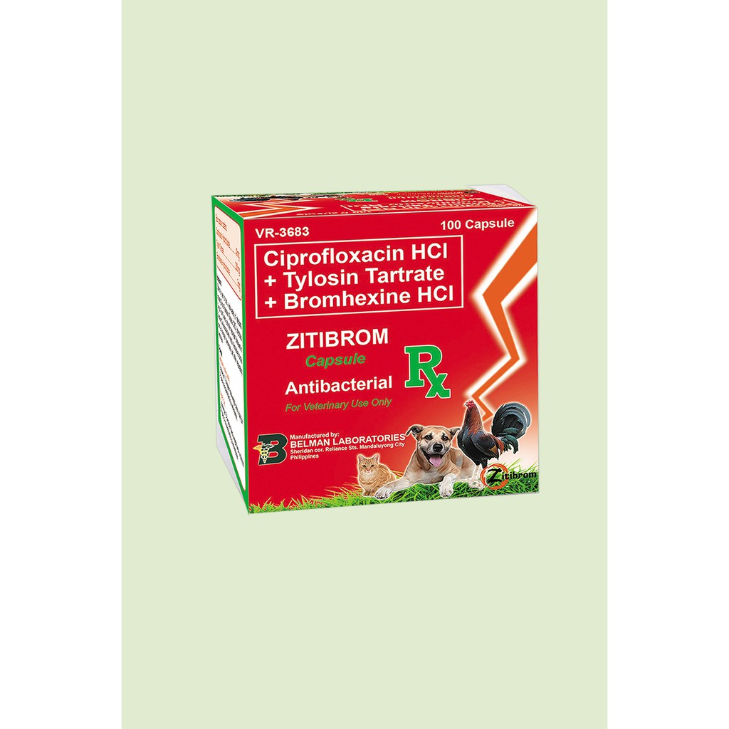 Zitibrom Capsule (10's) | Shopee Philippines