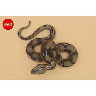 python - Best Prices and Online Promos - Nov 2024 | Shopee Philippines