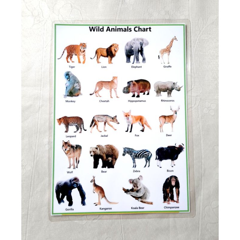 Wild Animals Charts for kids(teacher pher) | Shopee Philippines