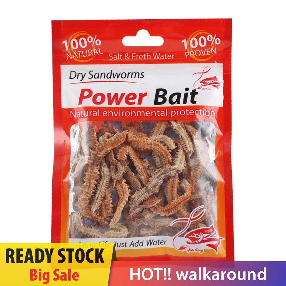 WAROUND Dry Sandworms Fishing Lure Saltwater Feeder Worms Sea Fish ...
