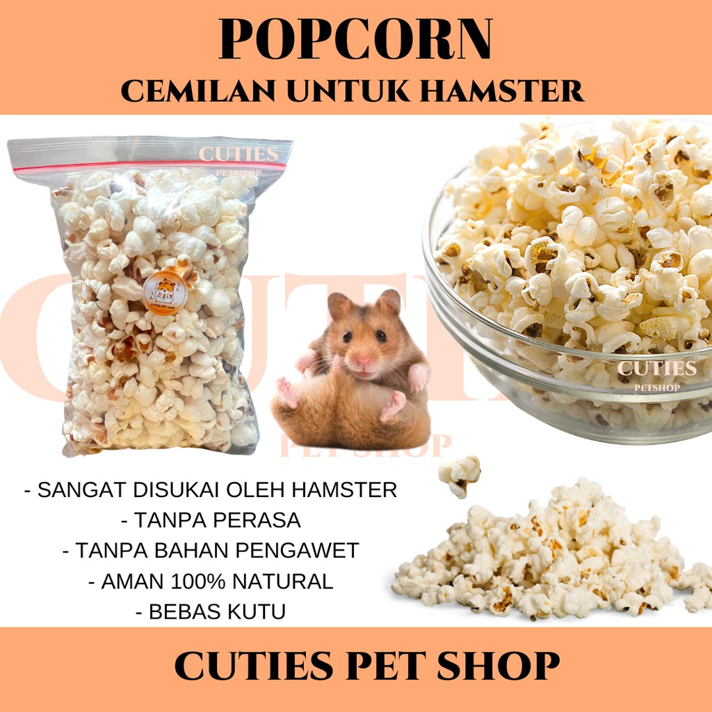 Popcorn hamster/hamster/hamster snack/Healthy Animal snack/No ...