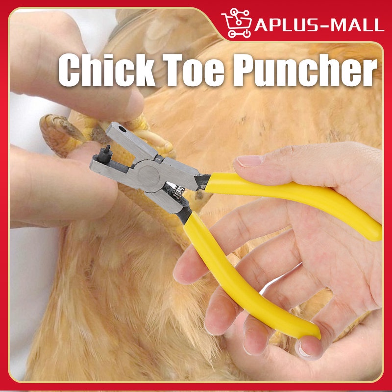 2mm Chick Toe Puncher Universal Gamefowl Toe Puncher Rooster Hole Punch ...