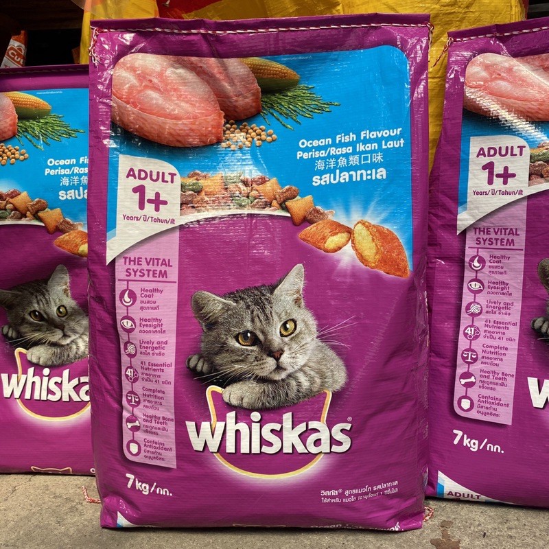 Whiskas Ocean Fish Flavor freshly packed 500g/1kg | Shopee Philippines