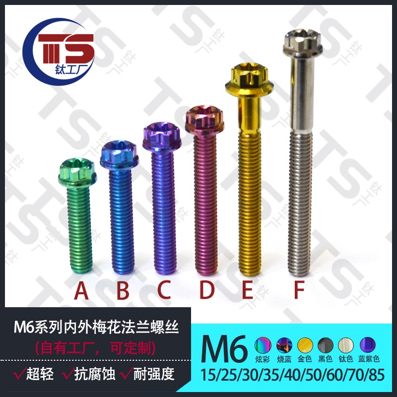 TS M6 Titanium Bolt M6X15-80mm Alloy Inner Outer Torx Modified Screw ...