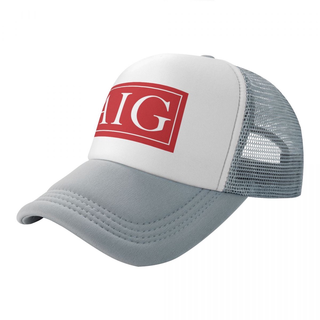 AIG Logo (3) Adult Grid Hat Men's Women's Baseball Cap High Straight ...