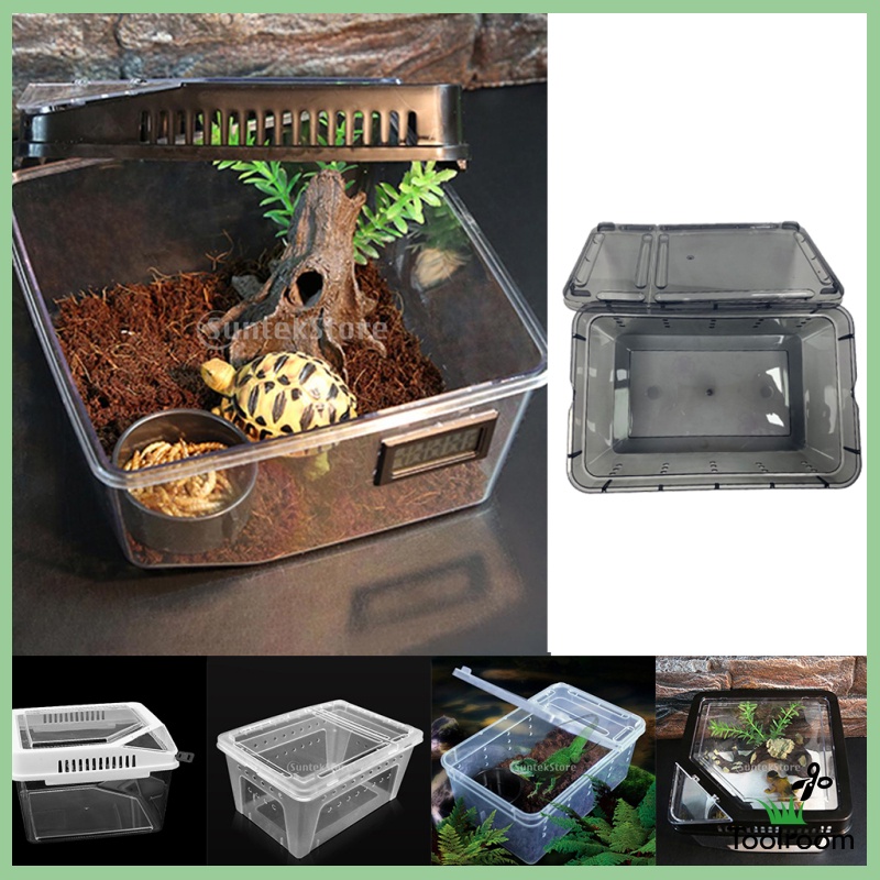 Habitat Cage Hatching Container for Scorpion Frog | Shopee Philippines