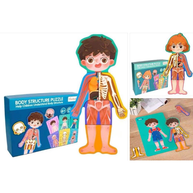 Body Structure Puzzle Boy Girl Safe Education Cognitive | Shopee Philippines