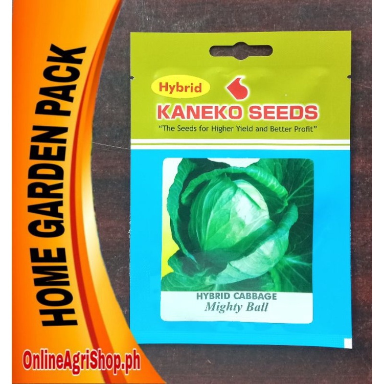 MIGHTY BALL F1 (1 GRAM) HYBRID CABBAGE SEEDS KANEKO SEEDS | Shopee ...
