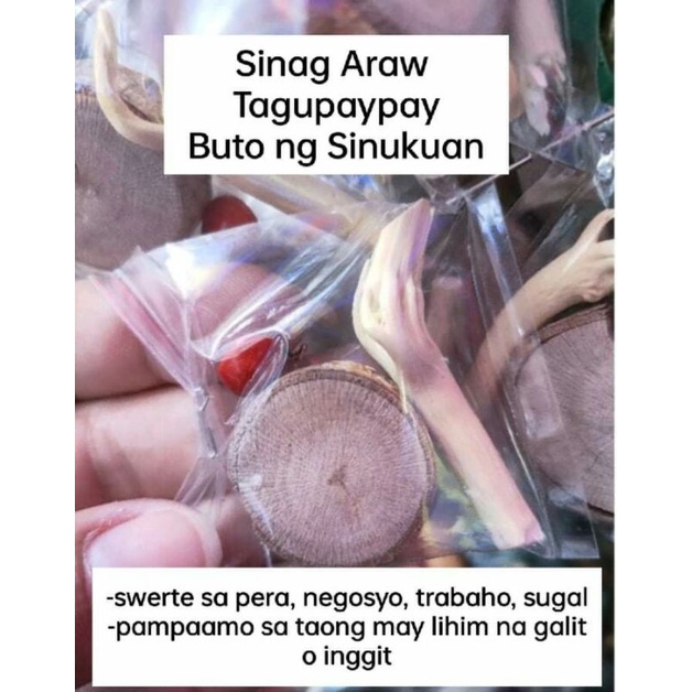 SET:sinag araw+tagupaypay+buto ng sinukuan | Shopee Philippines