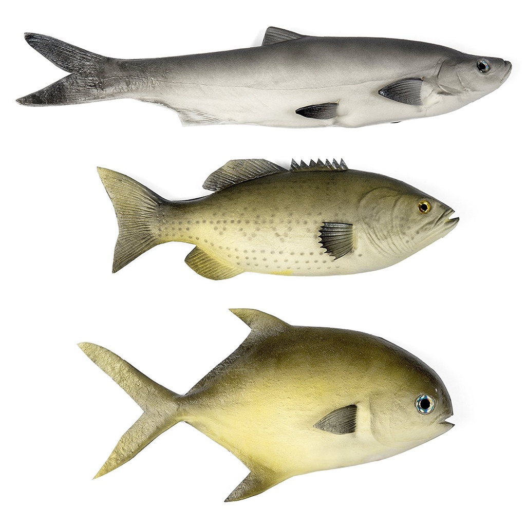 Qiyi Artificial Fish Realistic Fake Simulated Model Real Food Display ...