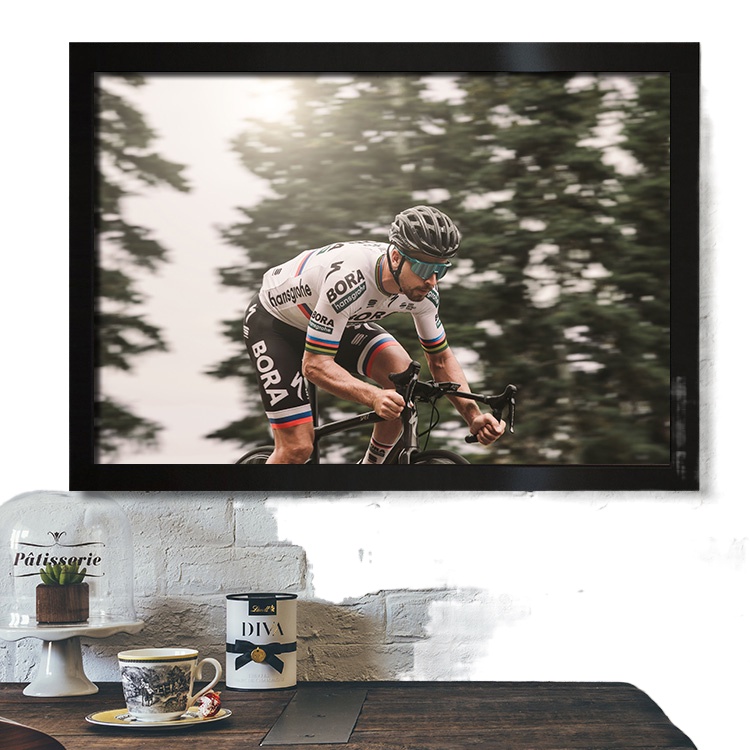 Sagan poster Sagan sagan brother road Tour de France road bike race ...