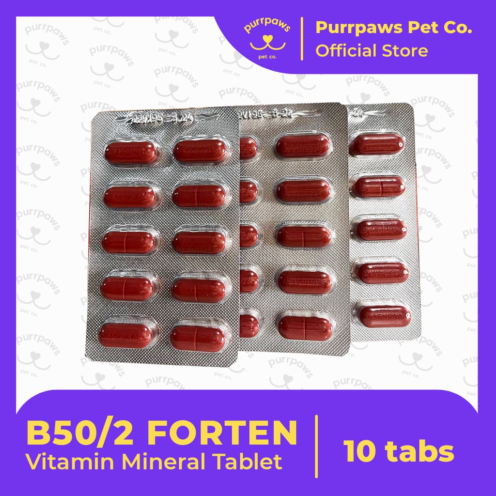 B50/2 Forten Tingi/Retail (10 pcs) | Shopee Philippines