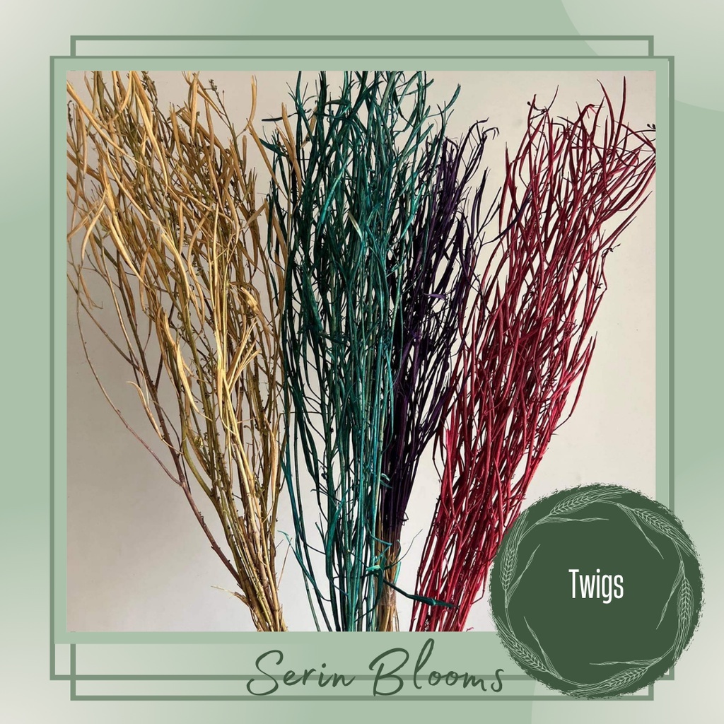Local Dried Twigs sold per bundle | Shopee Philippines