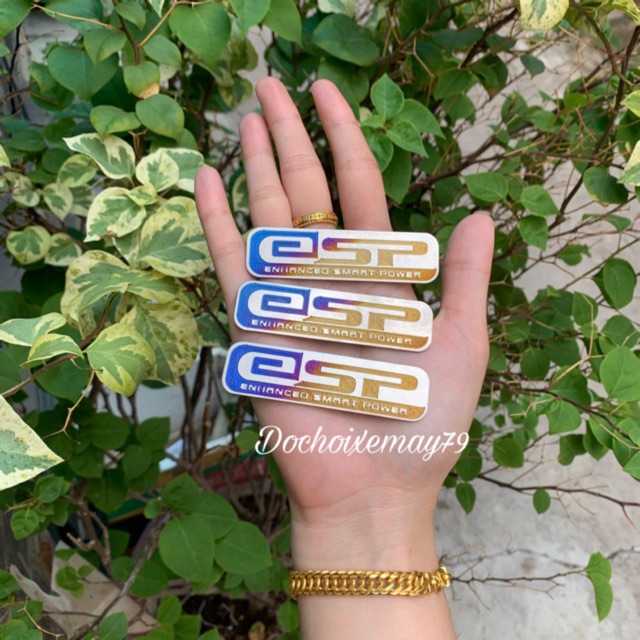 Titanium logo sticker with ESP lettering on the exhaust | Shopee ...