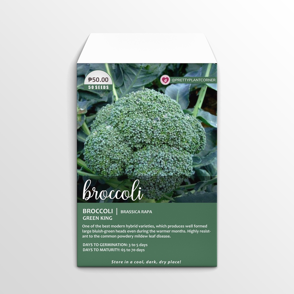 Green King Broccoli Seeds | Shopee Philippines