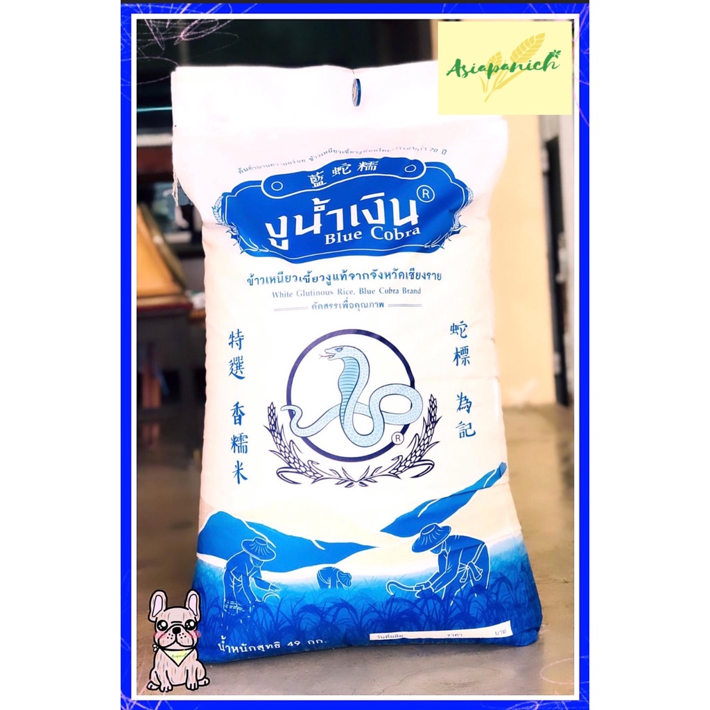 Chiang Rai Snake Tooth Sticky Rice 5 Kg.scoop For Sale | Shopee Philippines