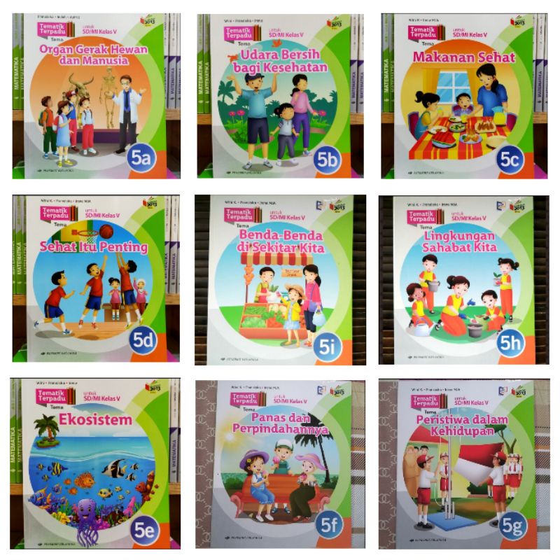NEW Integrated Thematic Book 5A 5B 5C 5D 5E 5F 5G 5H 5I Class 5 K13N ...