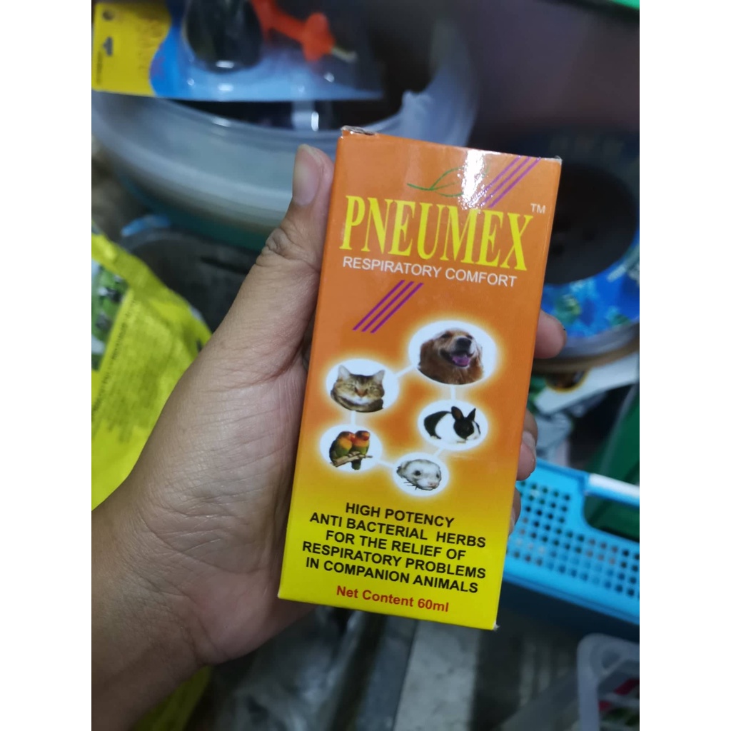 PNEUMEX RESPIRATORY COMFORT for pets EXPIRATION MAY2024 | Shopee ...