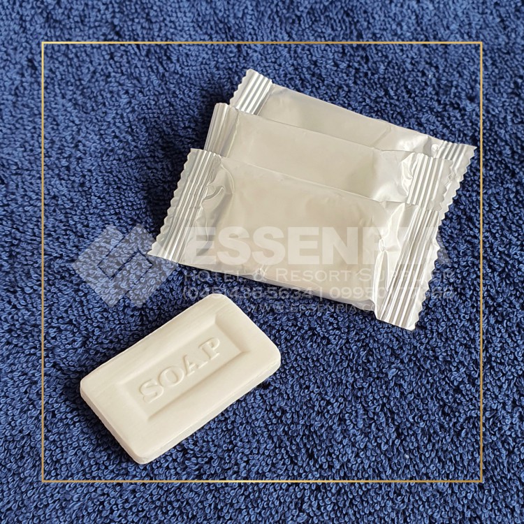 10gram (10g) SOAP Hotel & Motel & Drive In & Air BNB Disposable Mini ...