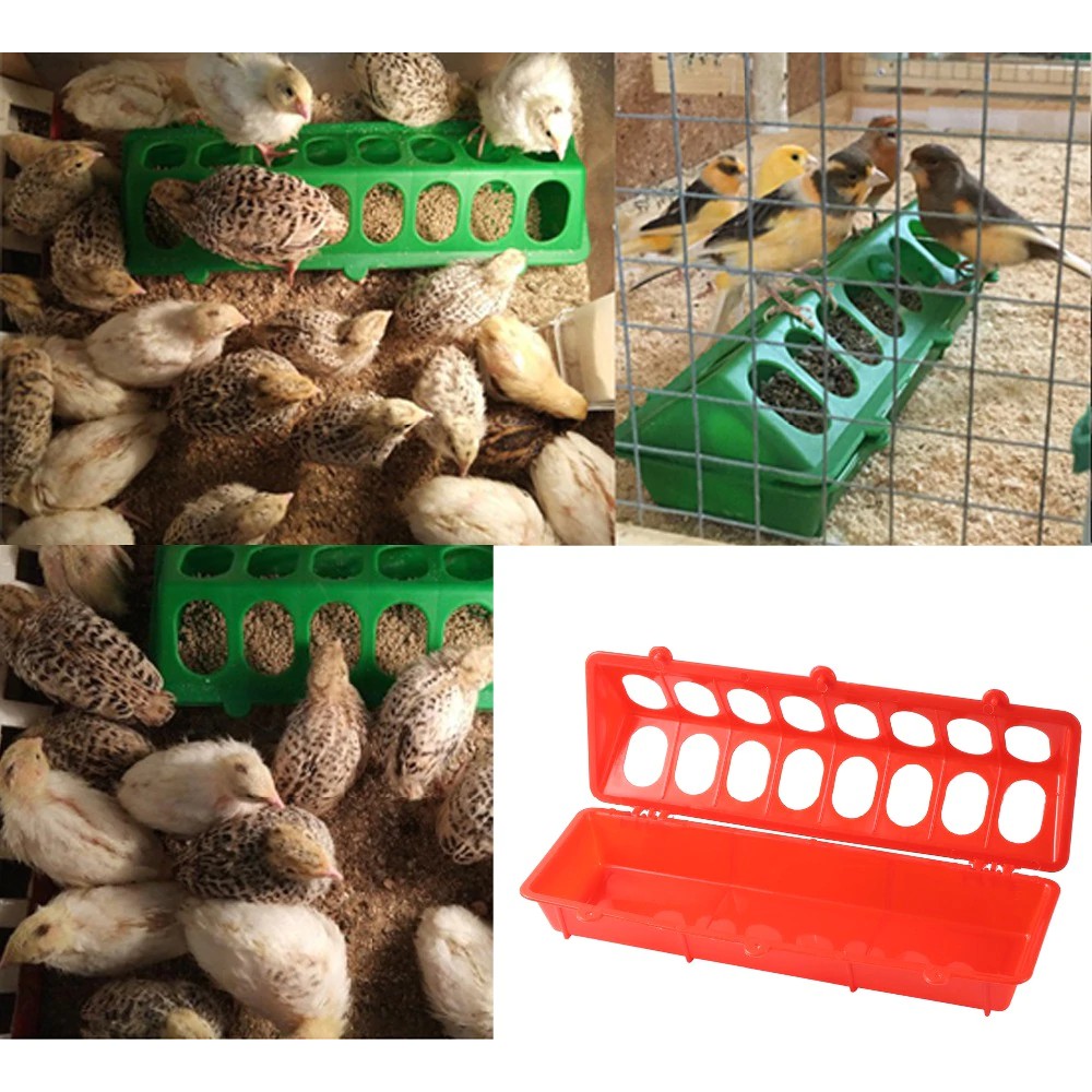 Pigeon Chicken Feeding Trough Drinking Trough Thicken Porous ...