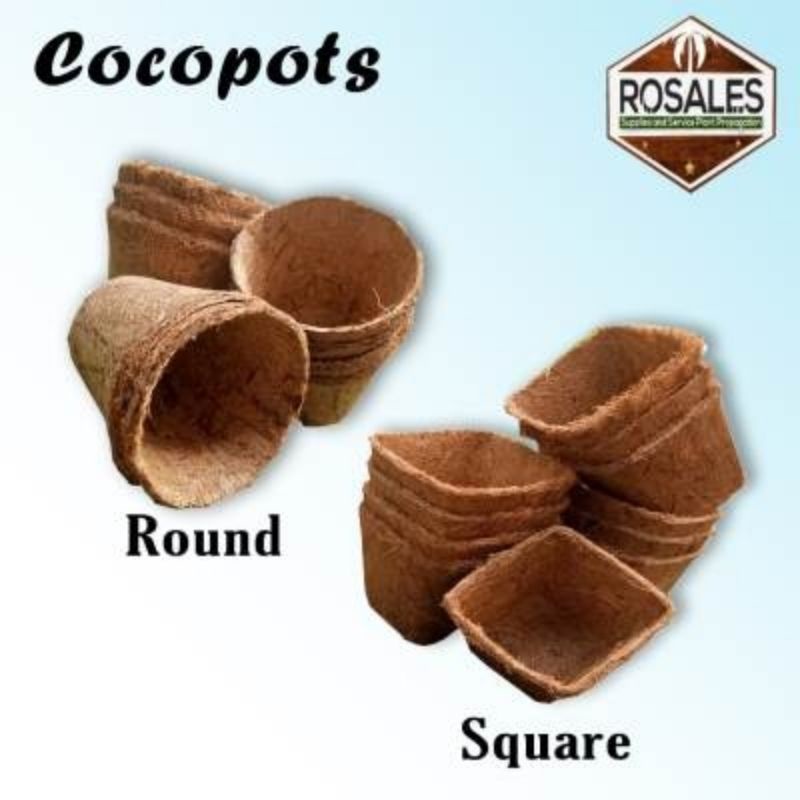 3 x 3 Square Cocopot For Mini Plants | Shopee Philippines