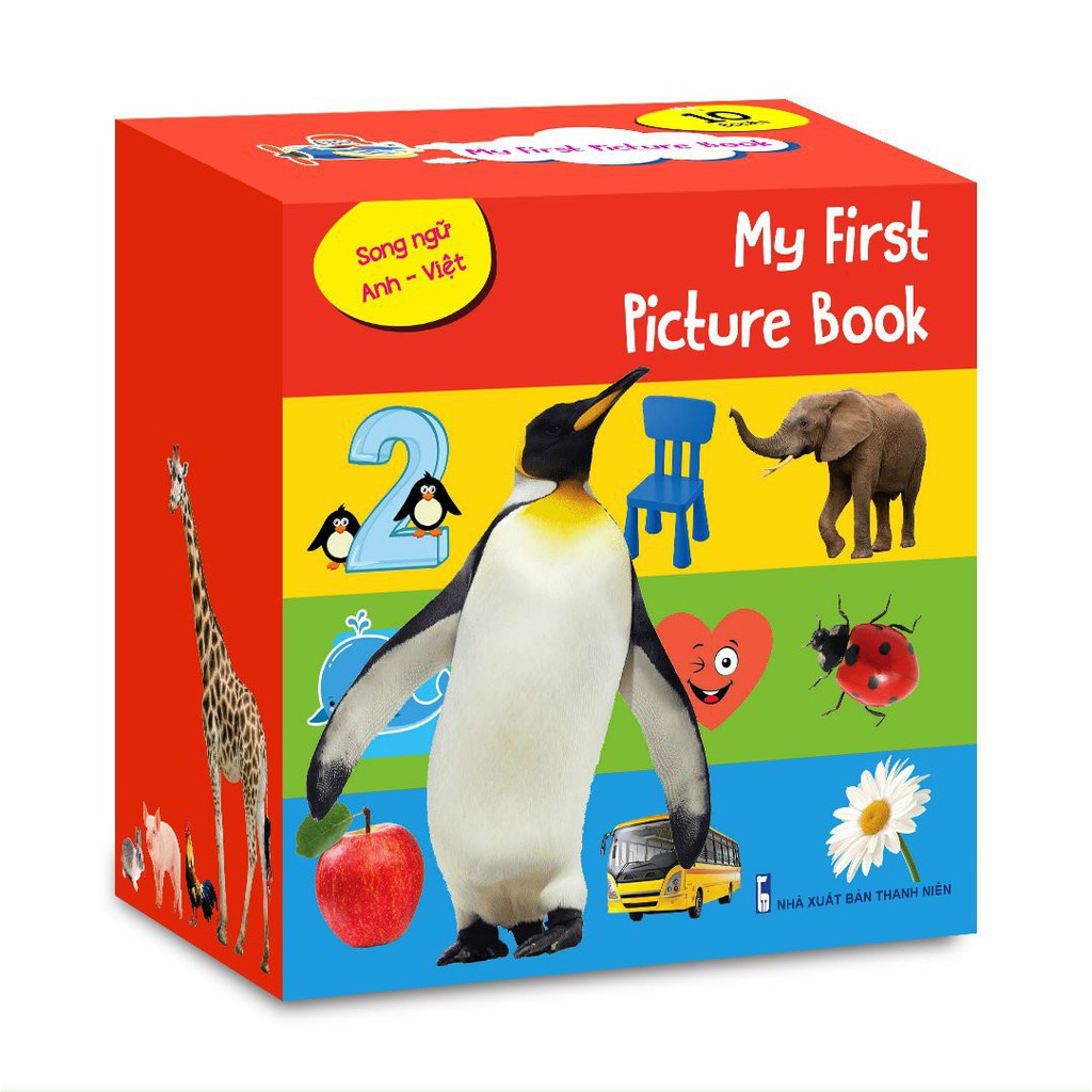Book - My First Picture Book (Bilingual English and Vietnamese ...