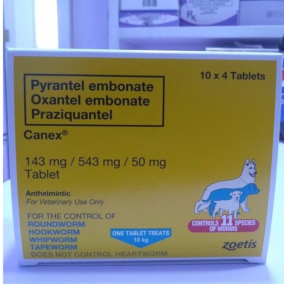 Canex Tablet x4 Dewormer | Shopee Philippines