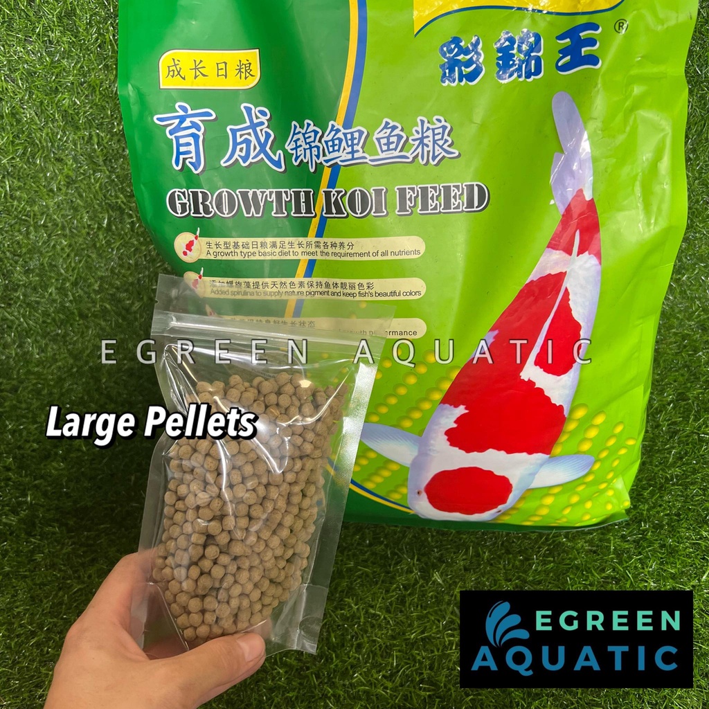 Koiking Growth 100grams (repacked) Small & Large Floating Pellets | Shopee Philippines