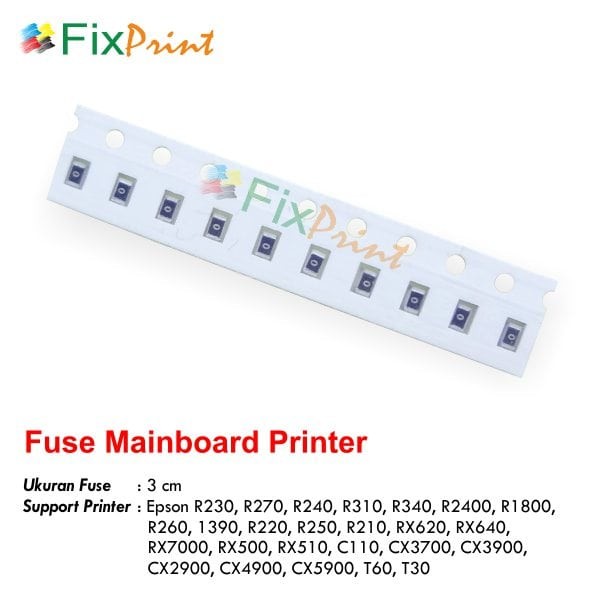 Large Epson Mainboard Fuse 3mm | Shopee Philippines