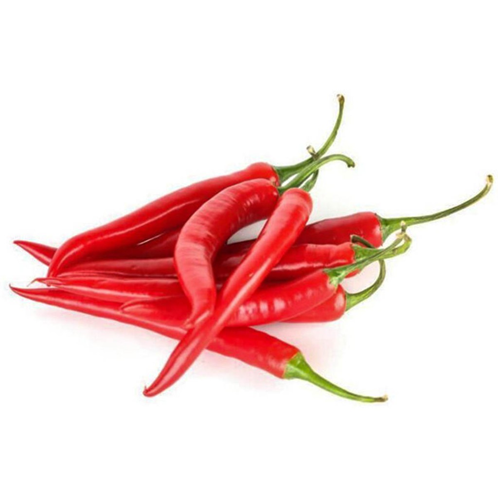 FV Chili Pepper Seeds 200pcs | chile pepper seeds Cayenne pepper seeds ...